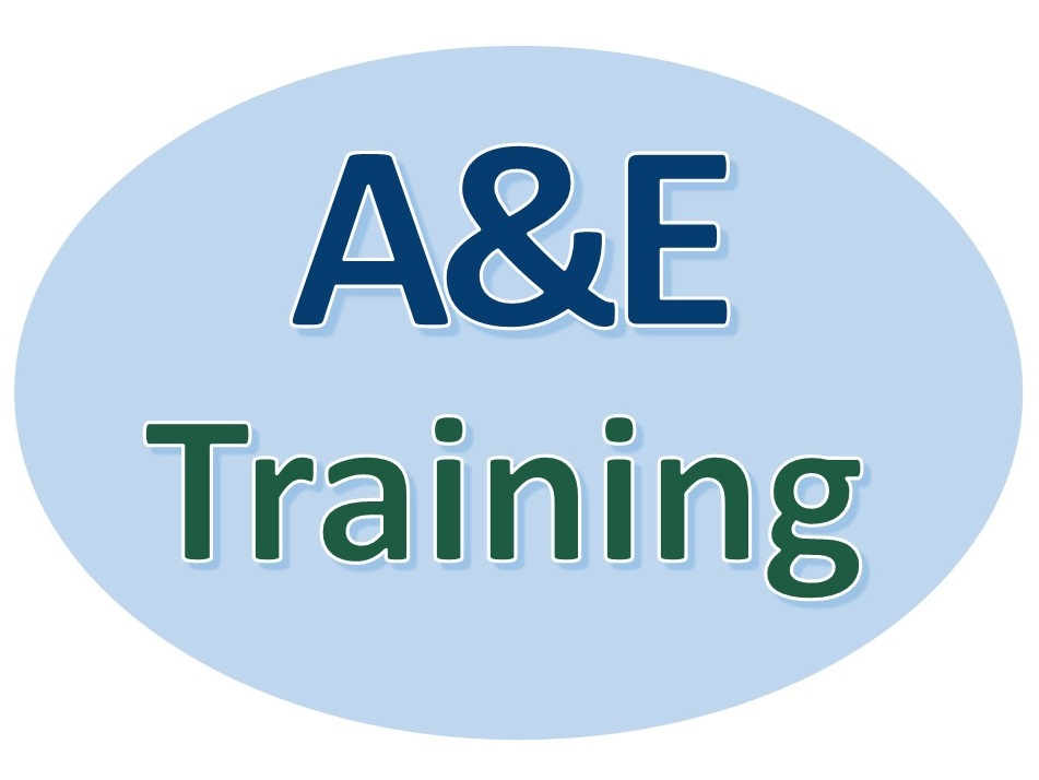 A&E 10-C Training Webinar Recording – Local Assistance Blog